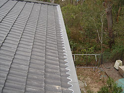 Gum Leaf Gutter Protection | Leaf Man Guttering Protection-Australia Wide