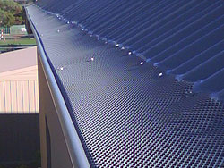 Gum Leaf Gutter Protection | Leaf Man Guttering Protection-Australia Wide